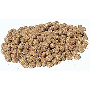 C&S Wild Bird Sunflower Suet Nuggets Mega Box, 8 Pounds