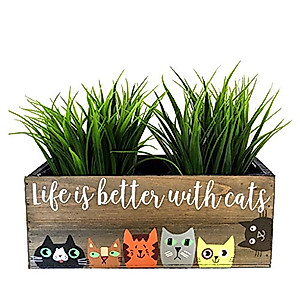 Cat Planter, Life is Better With Cats Wood Planter Box, Cat Mom, Catnip, Cat Lover Gift (Natural Brown Wood)