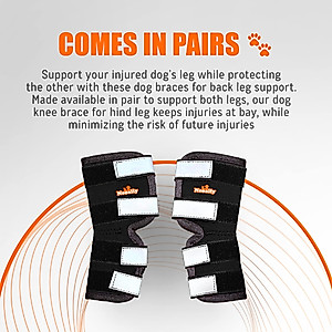 NeoAlly® - Rear Leg Hock Brace, Dog Leg Brace for Rear Leg, Hock & Ankle Support for Large Dogs, Dog Brace for Torn Acl and Ccl, Long Version, Medium, 1 Pair