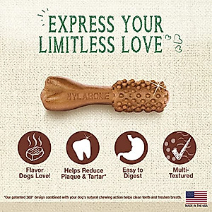 Nylabone Nutri Dent Filet Mignon Flavored Dog Dental Chews 32 Mini 1.75" Treats for Dogs 5-10 lbs.