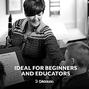 D’Addario Woodwinds - Rico Eb Clarinet Reeds - Reeds for Clarinet - Crafted for Beginners, Students, Educators - Strength 2.5, 10-Pack