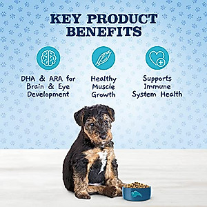 Blue Buffalo Baby Blue Healthy Growth Formula Natural Puppy Dry Dog Food, Chicken and Brown Rice Recipe 4-lb