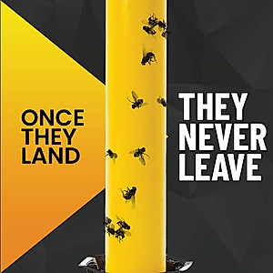 Sticky Fly Stick (6 Pack), Fly Stick for Mosquitoes, Sticky Trap for Flies Gnats Wasp Flying Insects, Bug Catcher, Indoor or Outdoor Use, Ready to Use Home