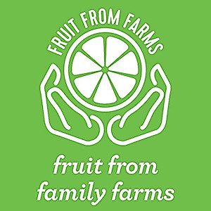 Spindrift Sparkling Water, Lime Flavored, Made with Real Squeezed Fruit, 12 Fl Oz Cans, Pack of 24 (Only 4 Calories per Can)