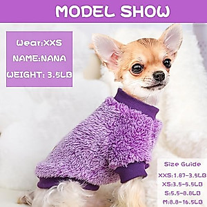 Dog Sweater Small Dog Sweater Dog Clothes for Small Dogs Girl Kitten Clothes Cat Sweater XXS Dog Clothes Puppy Clothes for Small Dogs Boy Puppy Clothes Extra Small Dog Clothes Xs 2 Pieces