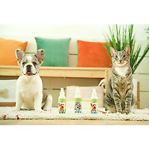 Complete Oral Care from The Founders of PetzLife - 4 oz (Peppermint Gel)