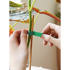 LE TAUCI Plant Ties, Garden Tape for Plant, Reusable Adjustable Thicker Support for Growing, Strong Grip, Tomato Vines Indoor Outdoor, Gardening Gifts for Men (25 ft x 0.47 Inch, 1 roll, Green)