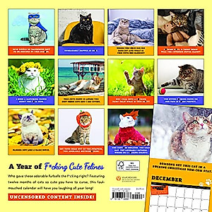 2023 Too F*cking Cute Cats Wall Calendar: A Year of D*mn Adorable Kitties (Funny Monthly Calendar & White Elephant Gag Gift for Cat Lovers)