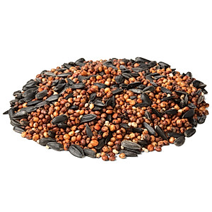 Morning Song Dove & Ground Feeding Wild Bird Food, Quail, Pigeon and Dove Food Seed Mix for Outside Feeders, 7-Pound Bag