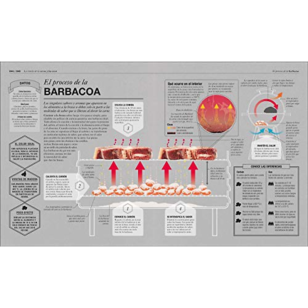 Cocinología (The Science of Cooking): La ciencia de cocinar (Spanish Edition)