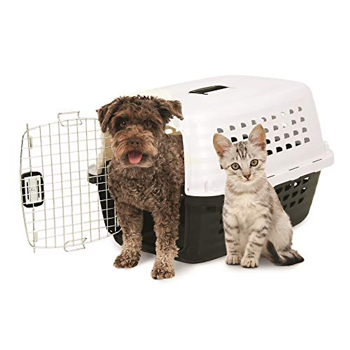 Petmate 41032 Compass Fashion Kennel Cat and Dog Kennel, 10-20 lb., Pearl White/Black