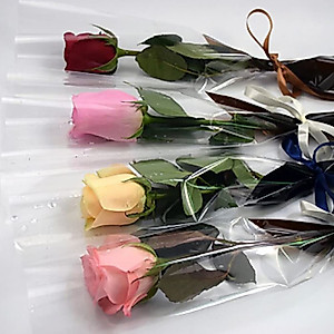 100 Pcs flower packaging transparent bag,flowers bouquet sleeve transparent cellophane Suitable for flower shop, shopping mall flower packaging (15X8)
