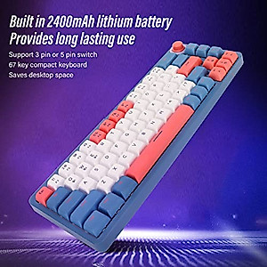 Laihua Mechanical Gaming Keyboard, PBT XDA LK67 Keycaps Stylish 5.0 Wired Multifunction Home Gaming Keyboard for Daily Use (Blue Switch)