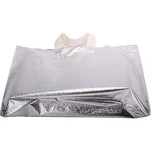 Gesodant Merchandise Bags,Retail Clothing Grocery Boutique Shopping Bags with Handles,Gift Bag, Size 15.7" x 14.2", Set Of 50 - Silver