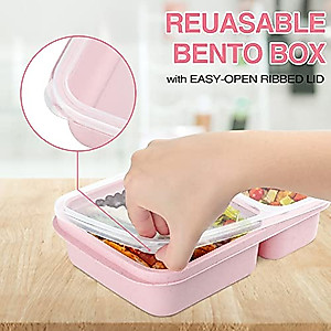 6 Pack Lunch Containers for Kids, 3 Compartment Bento Lunch Box, Reusable Food Storage Bento Box Meal Prep Containers for School, Work and Travel with Forks and Spoons