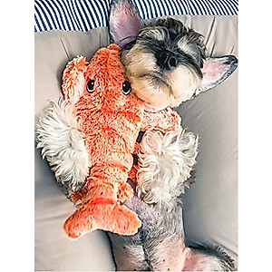 Flopping Lobster Toys for Cats & Small Dogs, Catnip Toys Kitten Toys Cat Toys for Indoor Cats, Interactive Cat Toy with Catnip, Cat Chew & Kicker Toy, USB Rechargeable, Flopping Toy for Dogs