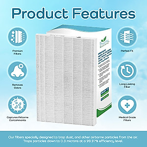 Breathe Naturally Replacement Filters Compatible with Winix C535, Plasmawave 5300, 6300 and Aeramax 300/290 Air Purifiers - True HEPA Filters for Home Purifiers - 12.6" x 16.3" x 1.25" (1 HEPA Filter)