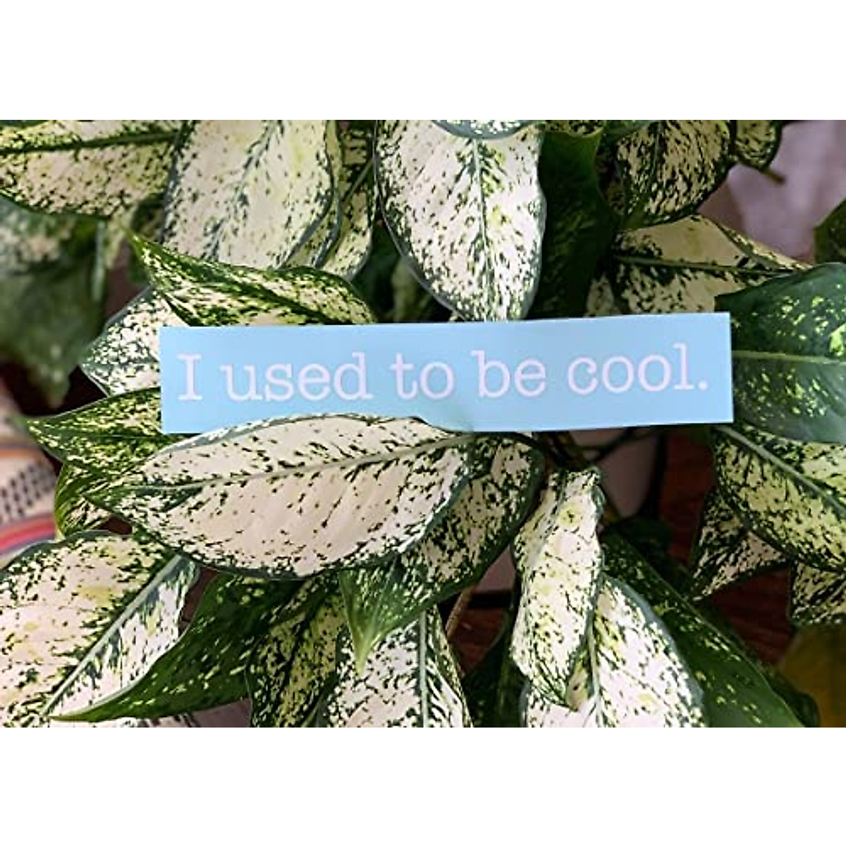 I used to be cool car decal, van decal, parent car decal, mini van, mom mobile, dad wagon