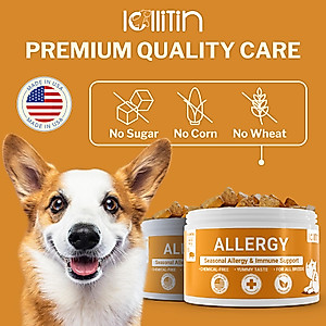 Lollitin Dog Supplement - Made in USA - All Natural - Dog Chews 120 Count - Dog Supplements for Small, Medium, Large Dogs, All Breeds (Allergy)