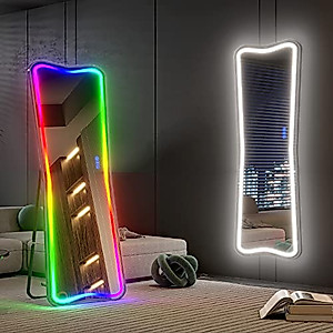 DNBSS 63"x20" RGB LED Full Length Floor Mirror With Lights, Free Standing & Wall Mount, Full Body Lighted Stand Up Mirror for Bedroom (Black RGB)