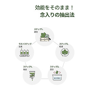 ROUND LAB Mugwort Calming Toner 300ml / Madecassoside, Soothing, Water Type Toner