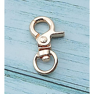 Ruwado 5 Pcs Dog Tag Clips with 5 Pcs 3/4 Inch Keychain 5 Pcs 1 Inch Keychain Gold Metal Dog Tag Rings for Pet Kitten Cat Collars ID Holder Harnesses