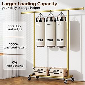 HYSEYY Portable Clothing Clothes Garment Rack Wheels,46.5" L Sturdy Clothing Racks for Hanging Clothes, Metal Wardrobe Closet Rack Clothes Storage Organizer for Coats, Shirts, Dress, Gold