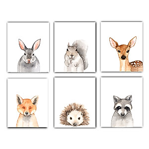 Designs by Maria Inc. Set of 6 UNFRAMED Animal Posters | Watercolor Animal Wall Decor | Woodland Nursery Decor | Baby Decor For Nursery Wall Art | Baby Room Wall Decor For Kids Boys And Girls (8"x10")