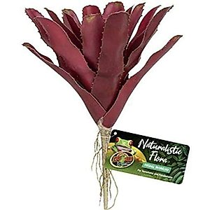 Zoo Med Fireball BROMELIAD