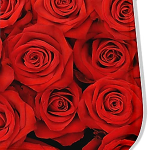 Floral Rug Red Rose Printed Large Area Rugs,Lightweight Water-Repellent Floor Carpet for Living Room Bedroom Home Deck Patio,40"x60"