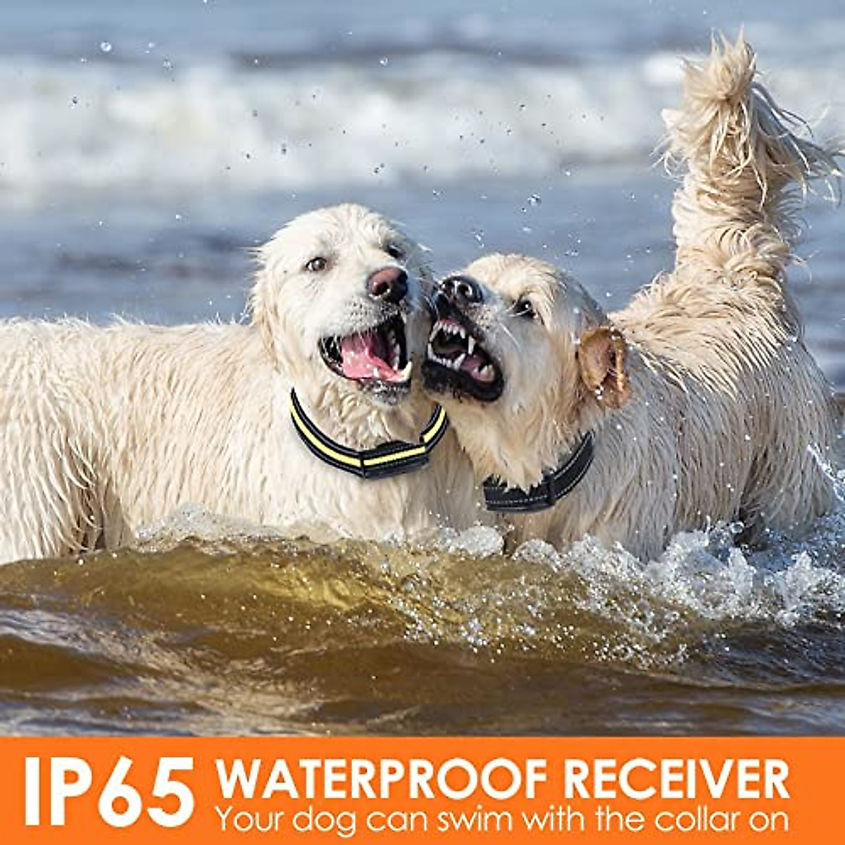 Dog Training Collar for 2 Dogs with Remote, Waterproof Rechargeable Electric Dog Shock Collar with Beep Vibration Shock Adjustable 0 to 99 Levels Dog Training Set for Large Medium Small Dogs