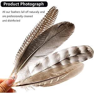 THARAHT 24pcs 4Style Natural Spotted Feathers Guinea Fowl Wing Feathers 6-8 inch Bulk for Craft Clothing Jewelry DIY Decoration Guinea Fowl Wing Feathers