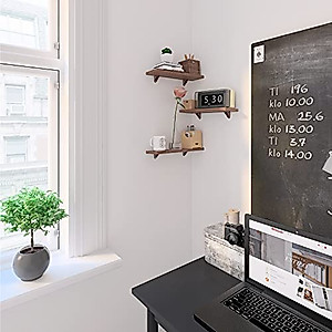 PLAYCON Easy Wall Mounted Floating Shelves Set of 3, for Office/Bedroom/Living Room/Media Room/Kitchen/Bathroom/Laundry Room/Storage, Innovative Textured PVC Finishing Walnut Wood Veneer Looking