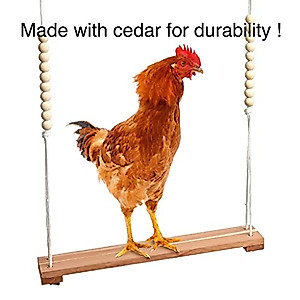 CW&WC Chicken Swing Toys for Chickens Coop with Adjustable Roost - Large Ladder Bar Accessories and Gifts Owners – Includes Ropes & Metal Hook (15.5In x 2.75In), A212
