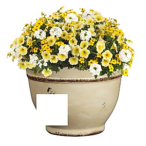 Classic Home & Garden 10512D 532R 12" Alena Planter, Vintage Ivory Enamel