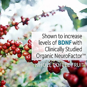 Garden of Life Dr. Formulated Brain Health Memory & Focus for Adults 40+, 60 Count