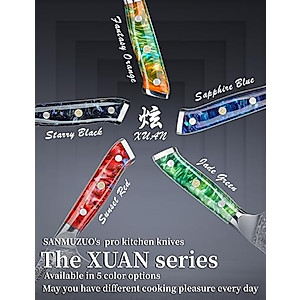 SANMUZUO Chef Knife - 8 inch - Xuan Series - VG10 Damascus Steel Kitchen Knife - Resin Handle (Sapphire Blue)