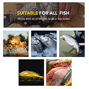 Haikole fish scaler Stainless Steel Fish Scaler Remover,Portable 304 Stainless Steel Fish Scaler Remover,Sawtooth Fish Descaler Tool for Seafood Markets,Family Kitchen seafood tools (Stainless Steel)