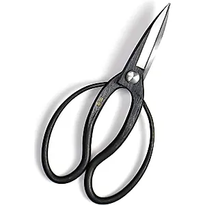 Japanese Suiryu Bonsai Scissors - Traditional Hasami Pruning Shears, Japanese Bonsai Garden Tools, Made in Japan (7.87inch)