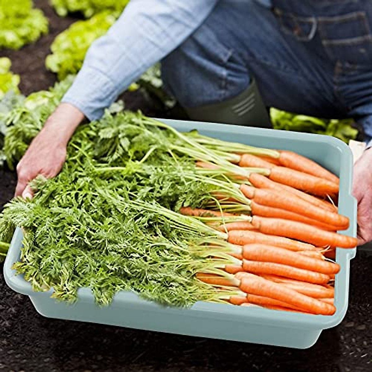 Xyskin 4 Packs Plastic Rectangle Utility Bus Box, Commercial Totes Tubs, 13 L