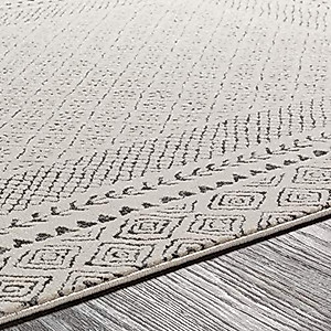 Artistic Weavers Melodie Boho Farmhouse Area Rug,7'10" x 10'2",Beige