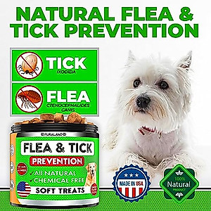 Flea and Tick Prevention for Dogs Chewables - Made in USA - Natural Flea and Tick Supplement for Chews - Oral Flea Pills - No Mess | No Collars - All Breeds and Ages - Tasty Soft Tablets