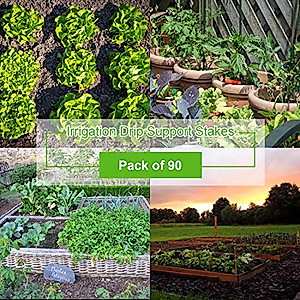 Mudder 90 Pieces Irrigation Drip Support Stakes for 1/4 Inch Pipe Universal Drip Tubing Hold Stakes Plastic Drip Hose Stakes for Irrigation, Greenhouse, Garden, Vegetable Flower Beds Herbs Growing