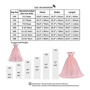 Little Big Girls Rainbow Costume Pageant Princess Party Tulle Dress Kids Floral First Communion Wedding Birthday Halloween Christmas Carnival Long Maxi Ball Gown Rainbow 7-8 Years