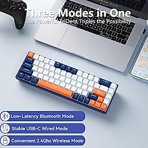 XISOGUU Wireless 61% Mechanical Keyboard, Modes BT5.0/2.4G/Wired, Backlit Ultra-Compact 68Keys Gaming Keyboard with Stand-Alone Arrow/Control Keys/Hot Swappable(White&Blue/Red Switch)…