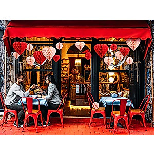 UNIQOOO 16 Pack Red Blush Pink Party Decoration Pom Pom | Heart & Ball Tissue Paper Honeycomb | Perfect for Party Decor, Wedding, Valentine's Day, Engagement, Bridal Shower, Baby Shower, Birthday