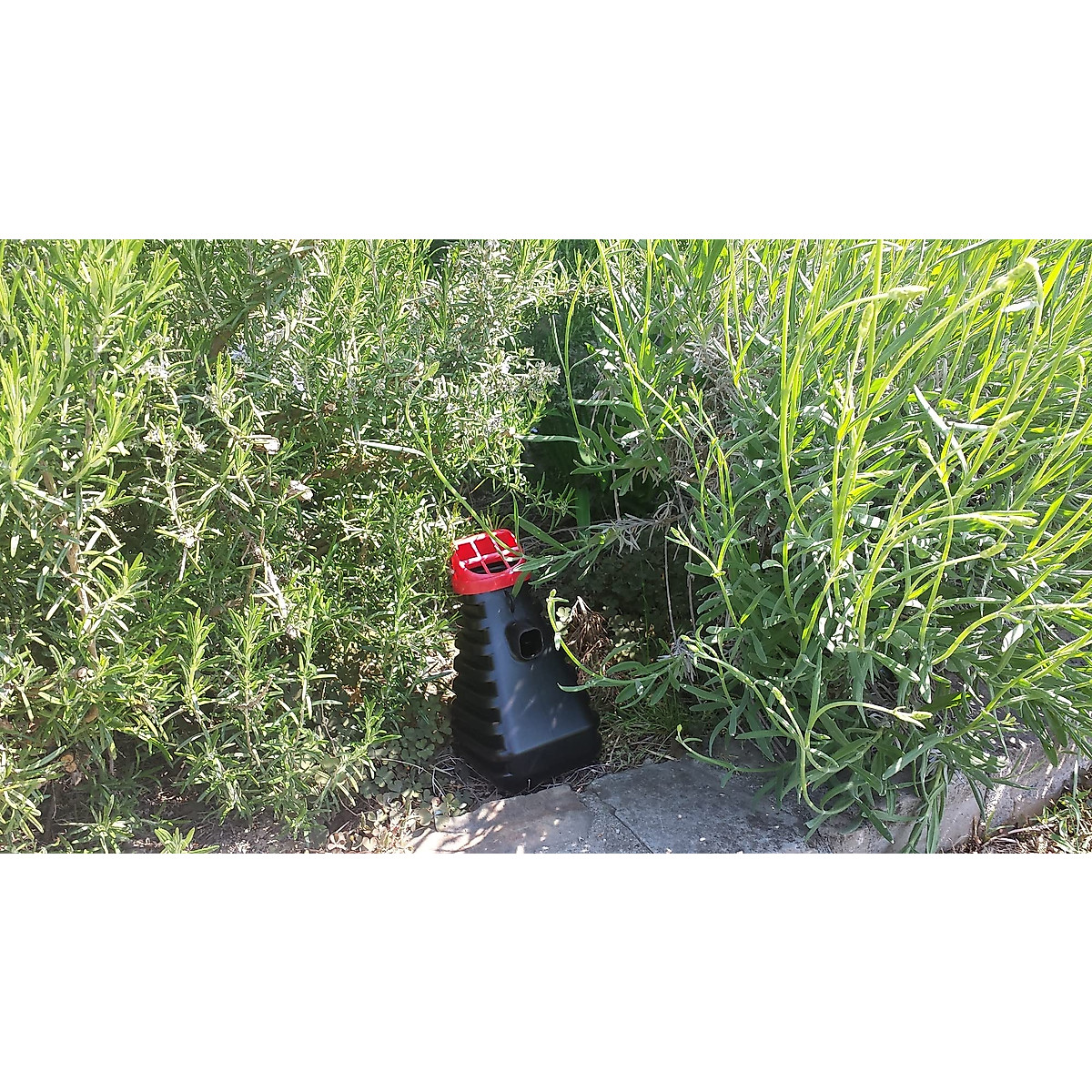 Grandpa Gus's Outdoor Mosquito Trap, Water-Activated Insecticide-Texturized Mosquito Larvae Killer, Protects up to 1500 sq ft (Pack of 2)