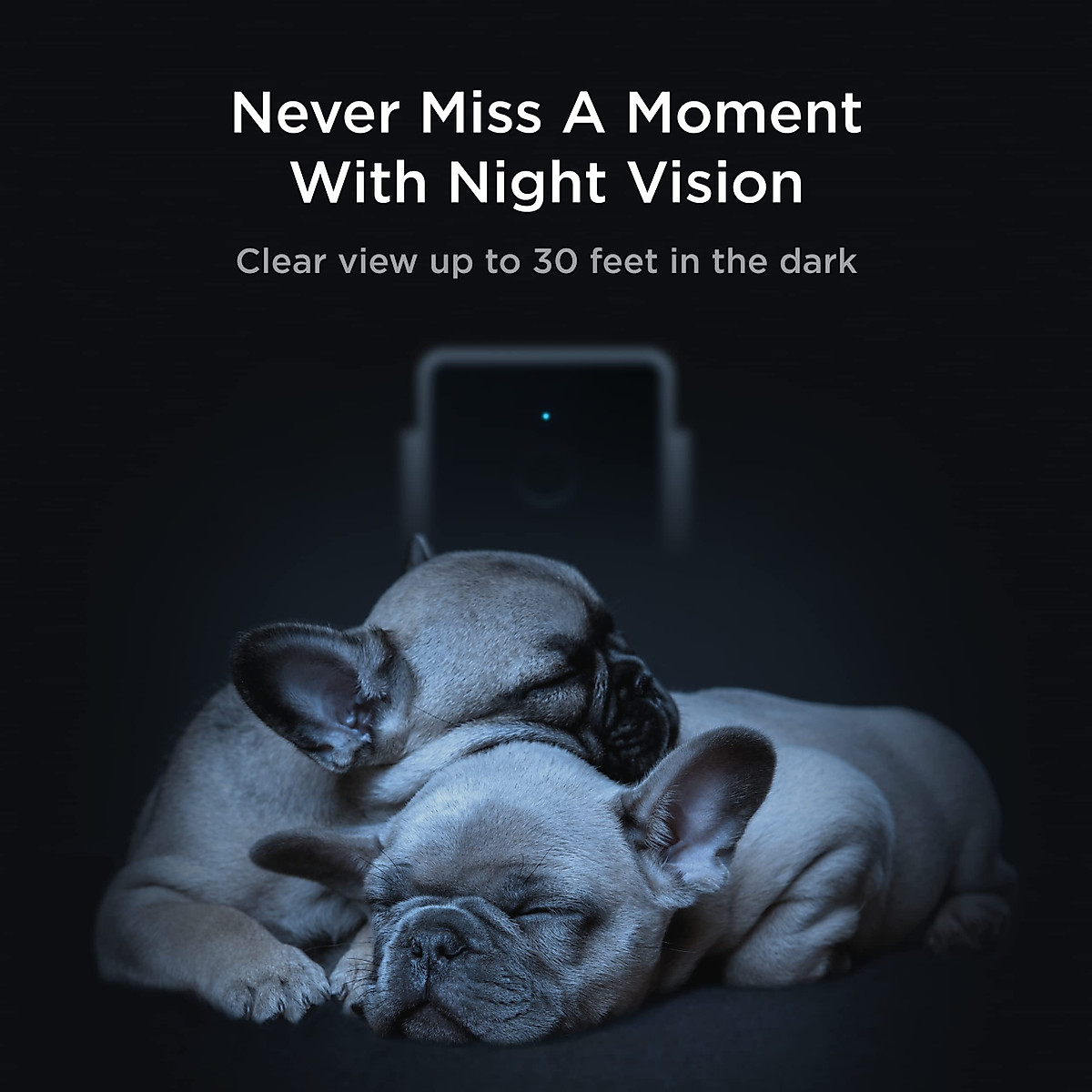 Petcube Cam Indoor Wi-Fi Pet and Security Camera with Phone App, Pet Monitor with 2-Way Audio and Video, Night Vision, 1080p HD Video and Smart Alerts for Ultimate Home Security