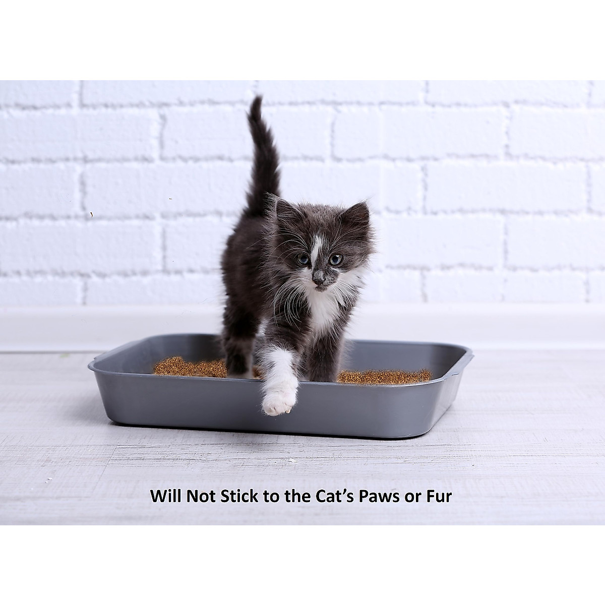 Coir Wonder Cat Litter Deodorizer – Litter Box Odor Eliminator – 2.2 Lb - Made of Activated Charcoal Carbon – Longer Kitty Litter Life – Odor Control for Small Animal Pet Enclosure and Chicken Coop