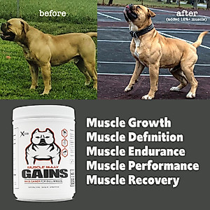 Muscle Bully Gains - Mass Weight Gainer for Dogs, Whey Protein, Flax Seed (for Bull Breeds, Pit Bulls, Bullies) Increase Healthy Natural Weight, Made in The USA (90 Servings)